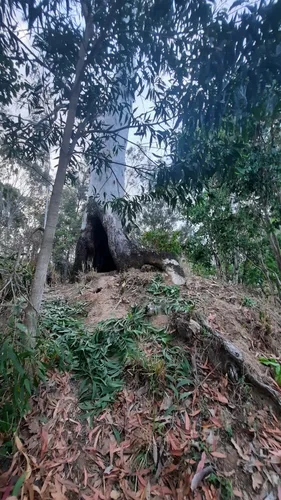 Best Hikes and Trails in Apex Park | AllTrails