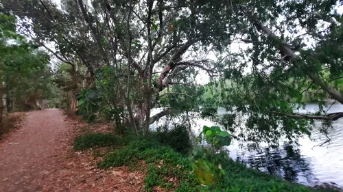 Best Hikes and Trails in Apex Park | AllTrails