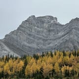 Elbow Loop Trail, Alberta, Canada - 191 Reviews, Map | AllTrails