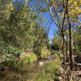 Ellison Creek Cascades, Arizona - 538 Reviews, Map | AllTrails