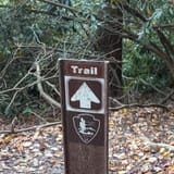 Bridge Buttress Access Trail, West Virginia - 103 Reviews, Map | AllTrails