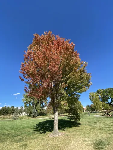 Best Hikes and Trails in Greeley | AllTrails