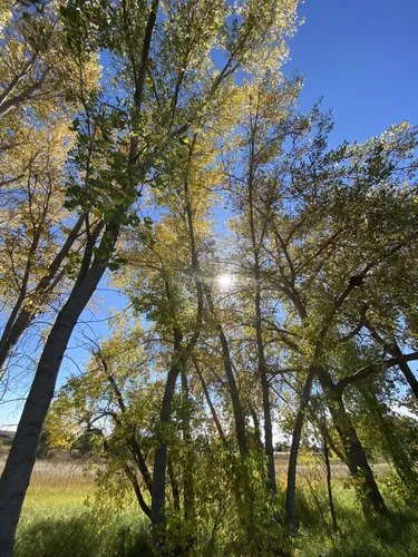 Best Hikes and Trails in Josephine Jones Park | AllTrails