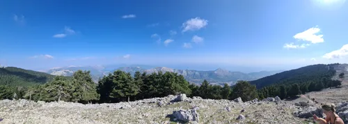 Best Forest Trails in Mount Ainos National Park | AllTrails