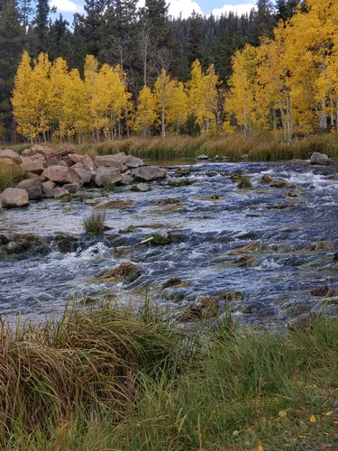 2023 Best Forest Trails in Duck Creek Village | AllTrails