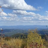 Massie Gap and Wilburn Ridge Loop, Virginia - 854 Reviews, Map | AllTrails