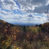 Massie Gap and Wilburn Ridge Loop, Virginia - 854 Reviews, Map | AllTrails