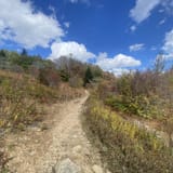 Massie Gap and Wilburn Ridge Loop, Virginia - 854 Reviews, Map | AllTrails