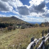 Massie Gap and Wilburn Ridge Loop, Virginia - 864 Reviews, Map | AllTrails
