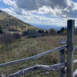 Massie Gap and Wilburn Ridge Loop, Virginia - 864 Reviews, Map | AllTrails