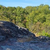 Devil's Honeycomb Trail , Missouri - 751 Reviews, Map | AllTrails