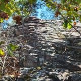 Devil's Honeycomb Trail , Missouri - 751 Reviews, Map | AllTrails
