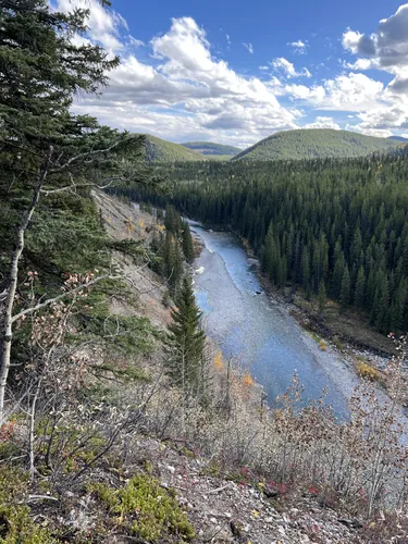 2023 Best Forest Trails in Elbow River Provincial Recreation Area ...