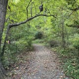 Daniel’s Run Park Loop, Virginia - 388 Reviews, Map | AllTrails