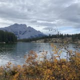 Johnson Lake, Alberta, Canada - 1,578 Reviews, Map | AllTrails