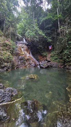 Melhores caminhadas e trilhas em Maricao State Forest | AllTrails