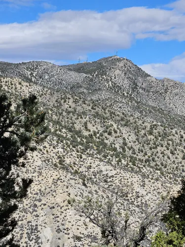 Best Hikes and Trails in Steptoe Park | AllTrails