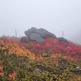McNeil Point Trail, Oregon - 2,727 Reviews, Map | AllTrails