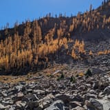 Grasshopper Pass via the PCT, Washington - 168 Reviews, Map | AllTrails