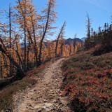 Grasshopper Pass via the PCT, Washington - 168 Reviews, Map | AllTrails