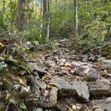 Compression Falls Trail, North Carolina - 384 Reviews, Map | AllTrails