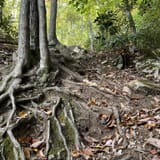 Compression Falls Trail, North Carolina - 384 Reviews, Map | AllTrails