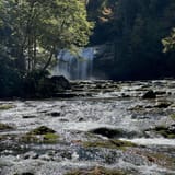 Compression Falls Trail, North Carolina - 384 Reviews, Map | AllTrails