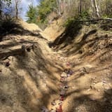 Compression Falls Trail, North Carolina - 384 Reviews, Map | AllTrails