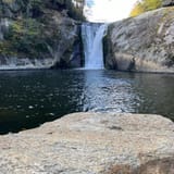 Elk River Falls Trail, North Carolina - 698 Reviews, Map | AllTrails