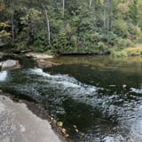 Elk River Falls Trail, North Carolina - 698 Reviews, Map | AllTrails
