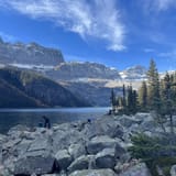 Boom Lake Trail, Alberta, Canada - 2,083 Reviews, Map | AllTrails