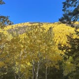 Inner Basin Trail, Arizona - 826 Reviews, Map | AllTrails