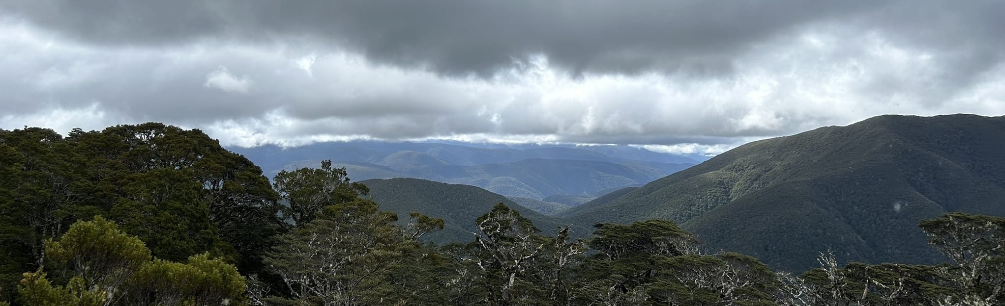 Flora Hut and Mount Arthur Hut Tracks, Nelson-Tasman, New Zealand - 24 ...