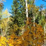 Scout Falls via Mount Timpanogos Trail, Utah - 2,155 Reviews, Map ...