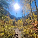 Scout Falls via Mount Timpanogos Trail, Utah - 2,155 Reviews, Map ...