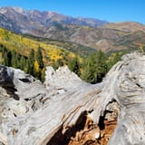 Scout Falls via Mount Timpanogos Trail, Utah - 2,155 Reviews, Map ...