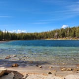 McLeod Lake Trail, California - 888 Reviews, Map | AllTrails