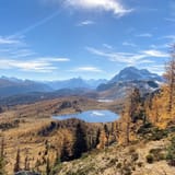 Healy Pass Trail, Alberta, Canada - 1,295 Reviews, Map | AllTrails