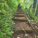 Makiki Valley Trail, Oahu, Hawaii - 579 Reviews, Map | AllTrails