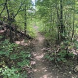 See Spring Trail, Arizona - 641 Reviews, Map | AllTrails