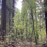 See Spring Trail, Arizona - 668 Reviews, Map | AllTrails