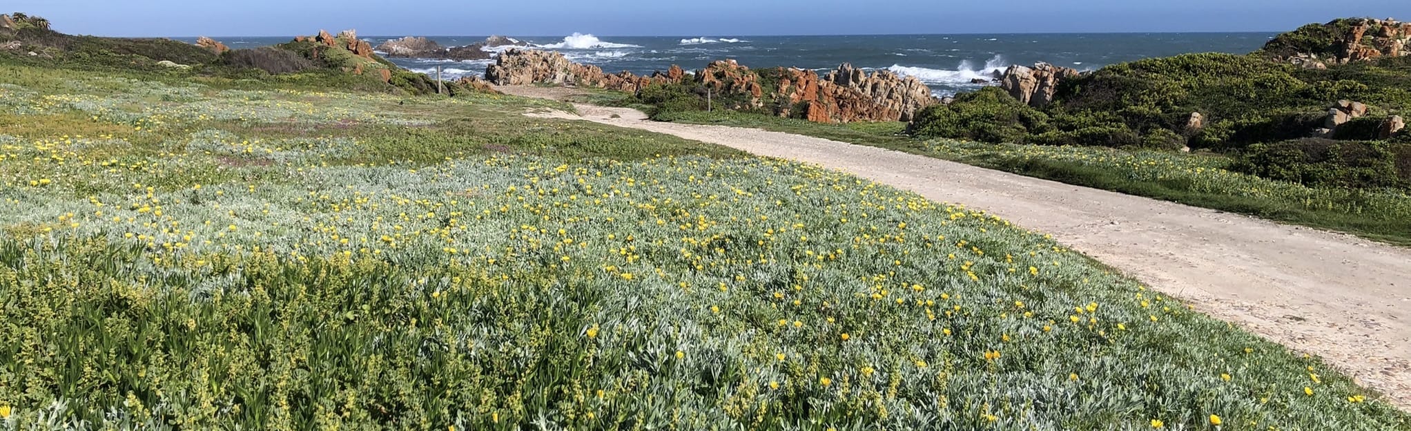 Buffalo Bay Trail, Western Cape, South Africa - 59 Reviews, Map | AllTrails