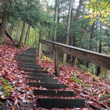 Jordan Valley Pathway, Michigan - 673 Reviews, Map | AllTrails