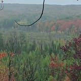 Jordan Valley Pathway, Michigan - 712 Reviews, Map | AllTrails