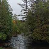 Jordan Valley Pathway, Michigan - 712 Reviews, Map | AllTrails