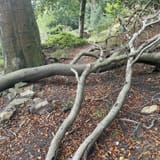 Anglezarke Reservoir, Lancashire, England - 480 Reviews, Map | AllTrails