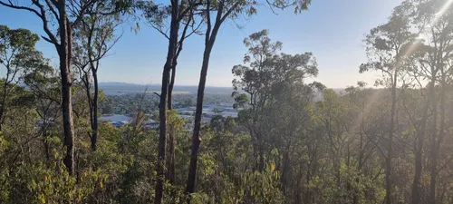 10 Best Hikes and Trails in Toohey Forest Park | AllTrails