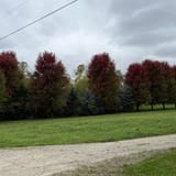 Wiouwash State Recreational Trail, Wisconsin - 243 Reviews, Map | AllTrails