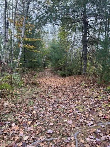 Best Hikes and Trails in Rines Wetlands and Wildlife Preserve | AllTrails