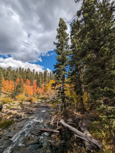 2023 Best Forest Trails in Duck Creek Village | AllTrails